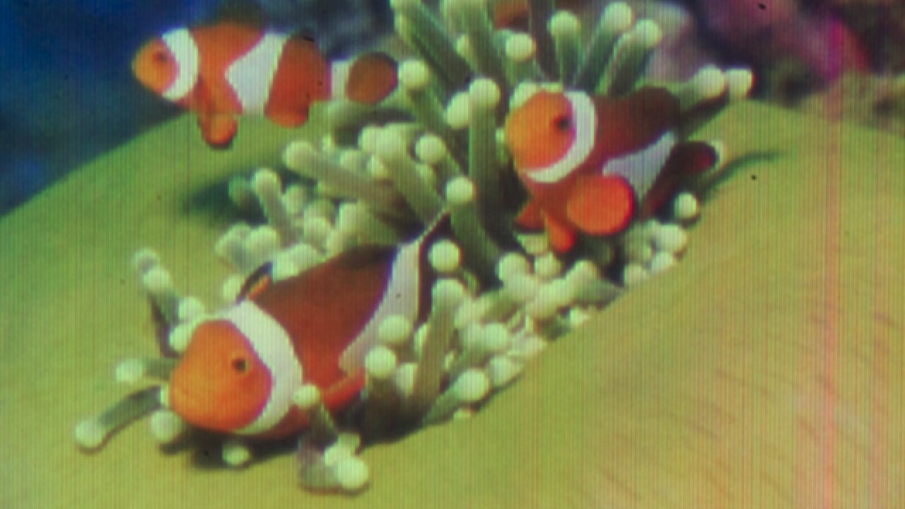 The smallest image ever printed