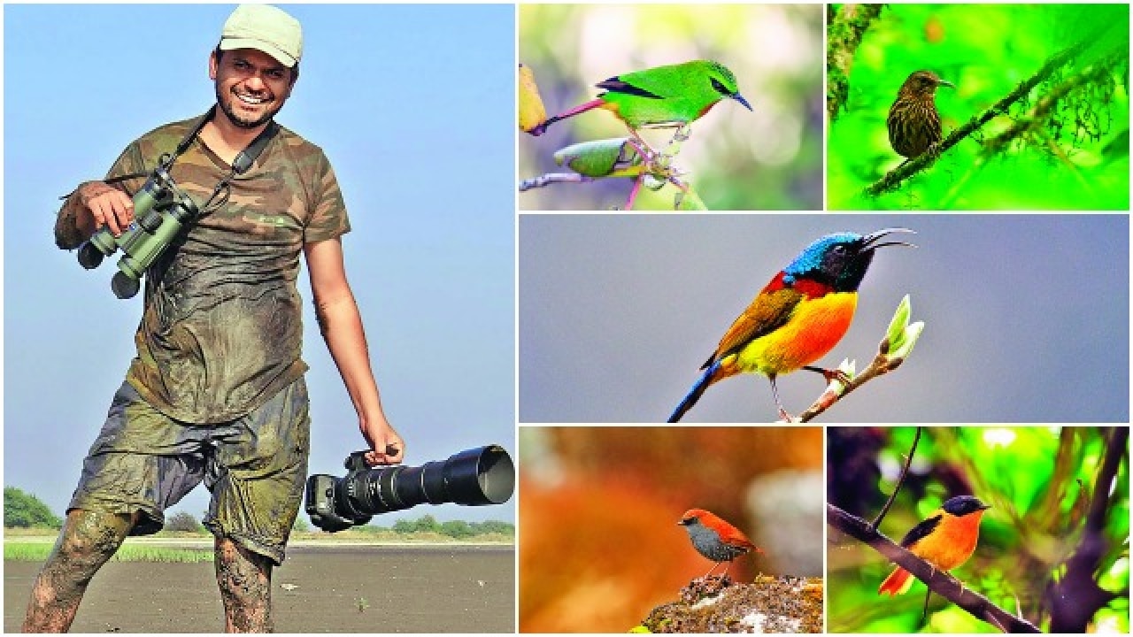 City birder finishes 'Big Year' with record spotting of 1,128 species