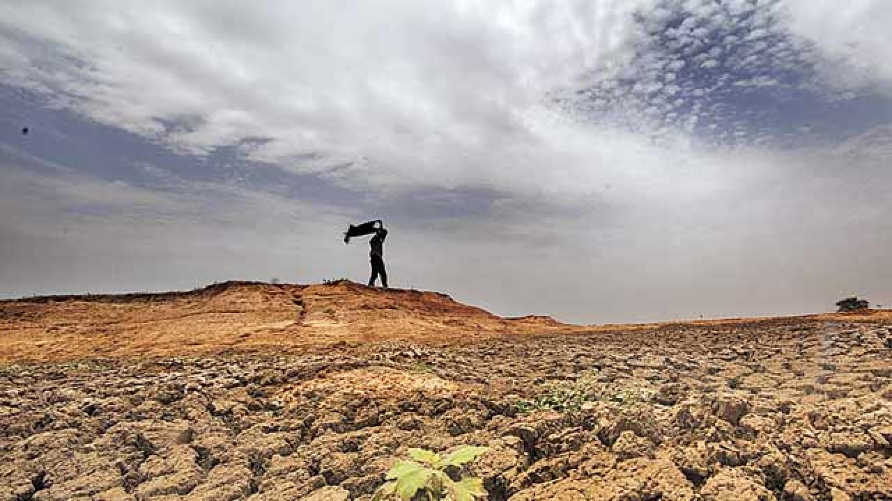 Maharashtra seeks Manohar Parrikar's help to increase green cover in ...