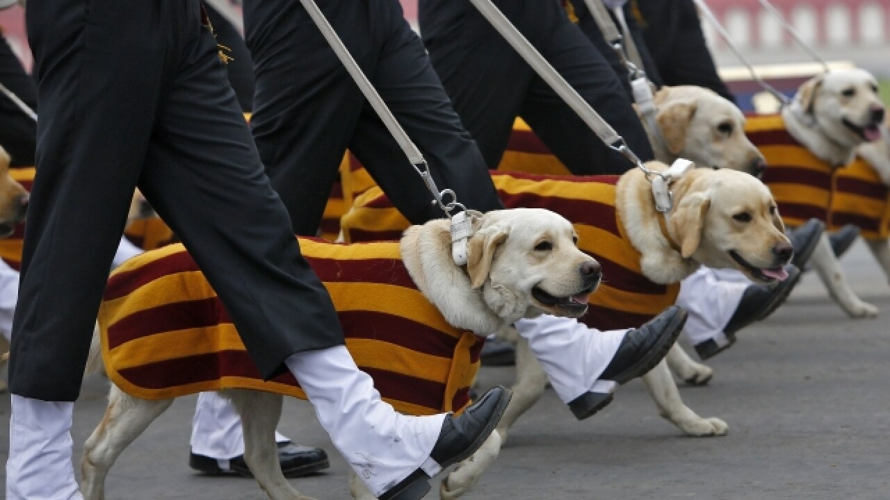 Army dogs all set to march down Rajpath after 26 years