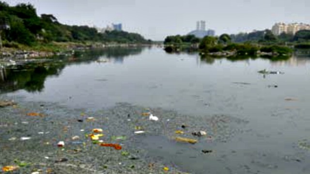 Around 15,000 people take part in walk demanding clean-up of rivers in ...