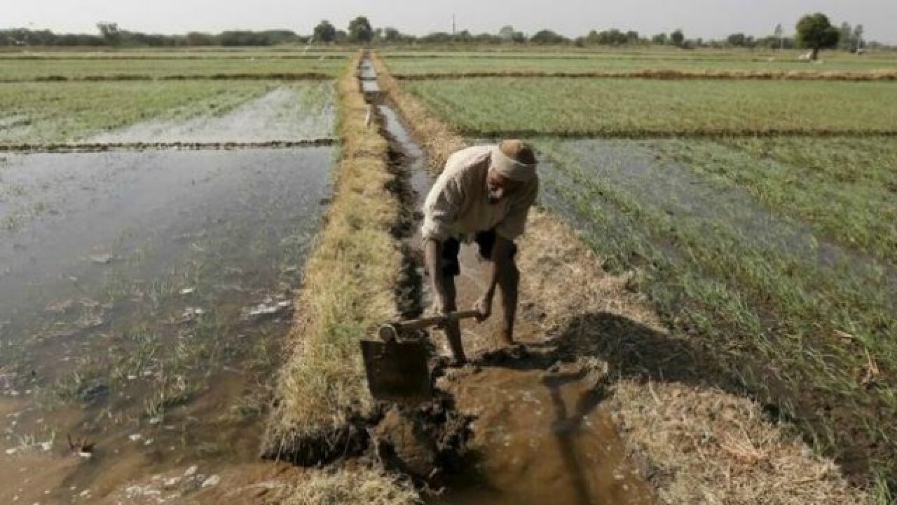 Maharashtra may borrow Rs 50,000 crore to complete ongoing irrigation ...