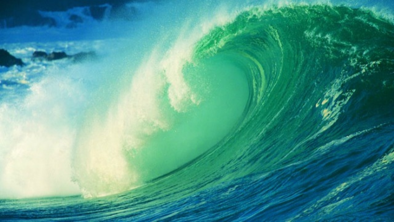 El Nino's impact may disrupt marine food chain: NASA