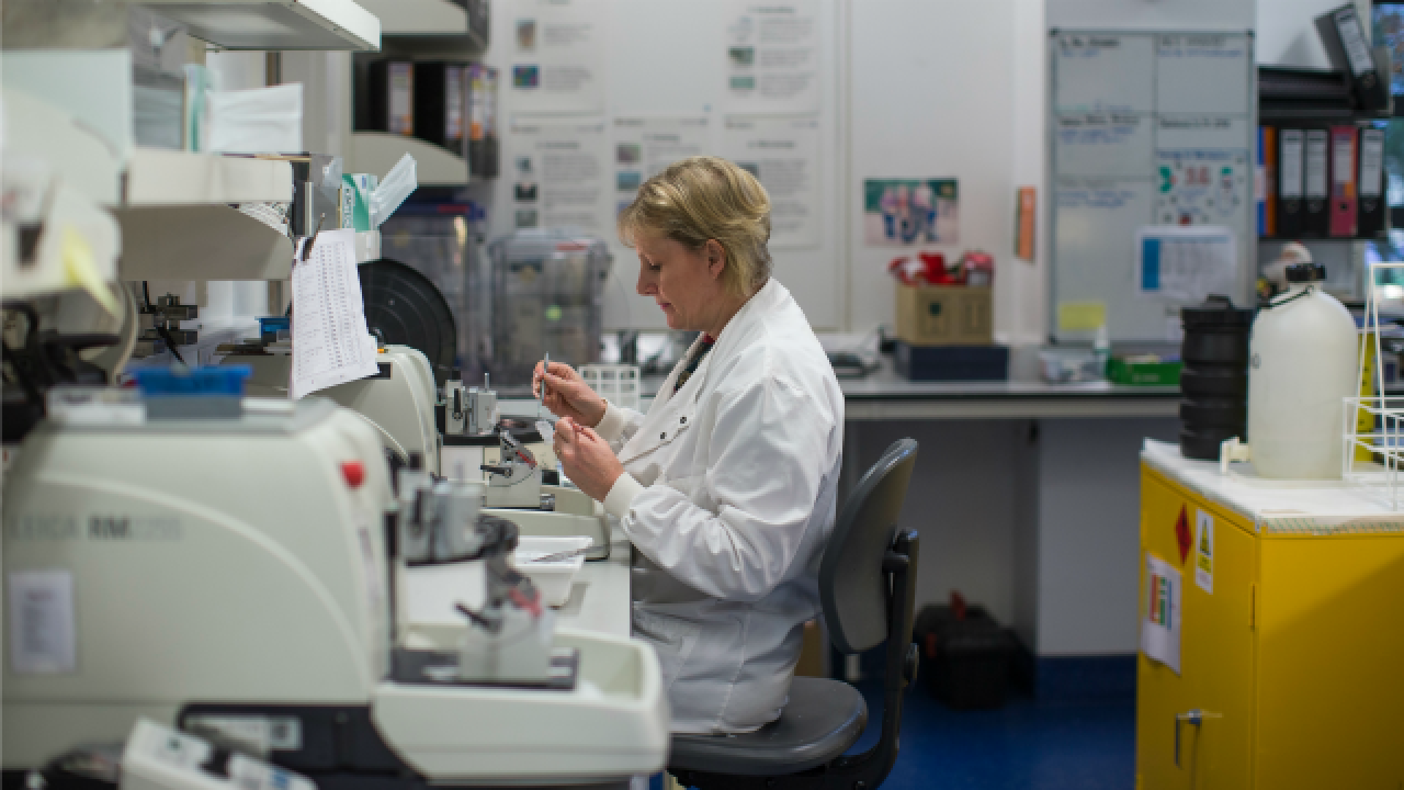 Scientists develop new tool to interpret 'dark matter' DNA