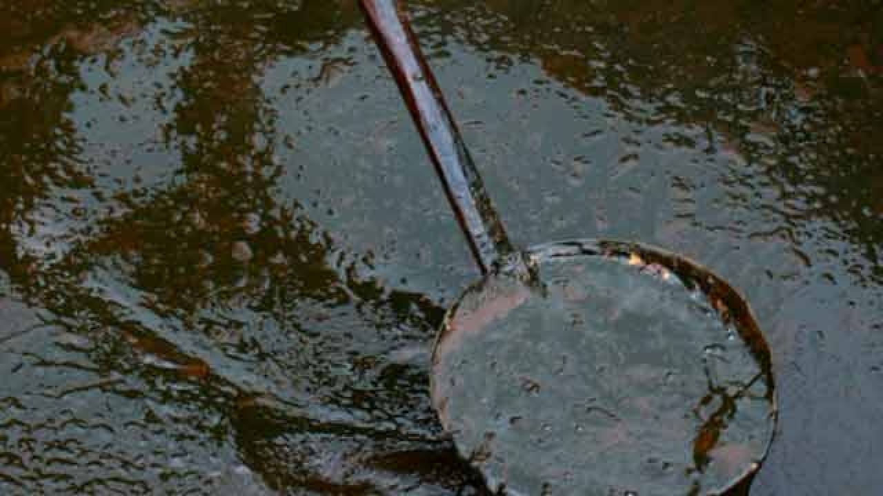 Oil prices up as Canada wildfires threaten crude output