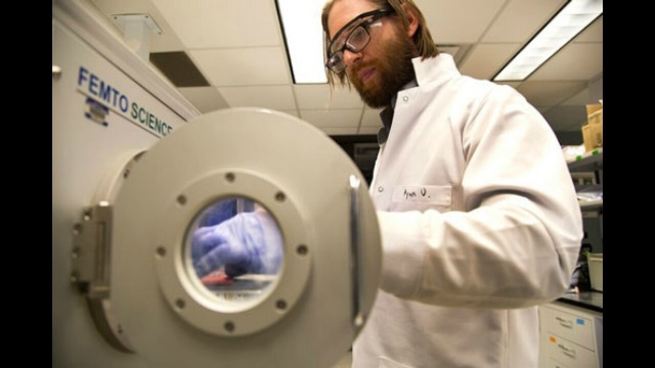 Scientists discover 'Kidney on a chip' method which may lead to safer ...