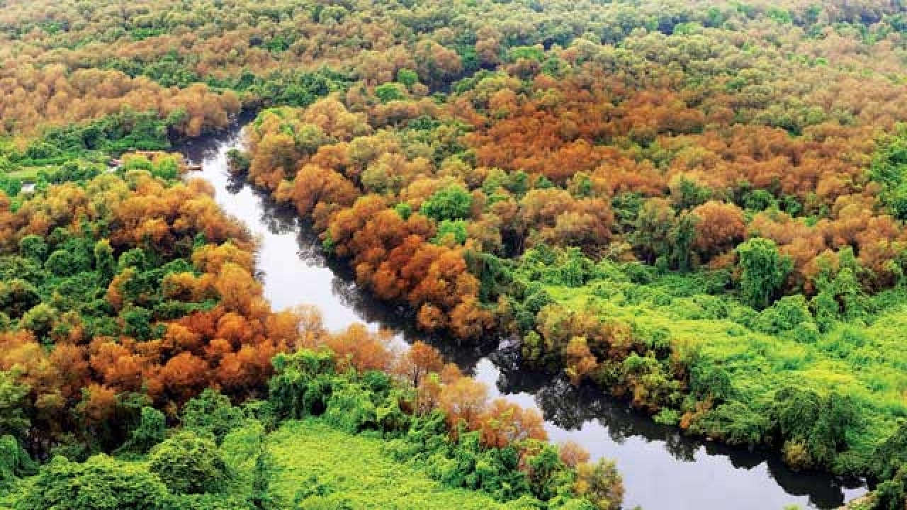 BMC carves out 10,000 hectares in city as natural areas