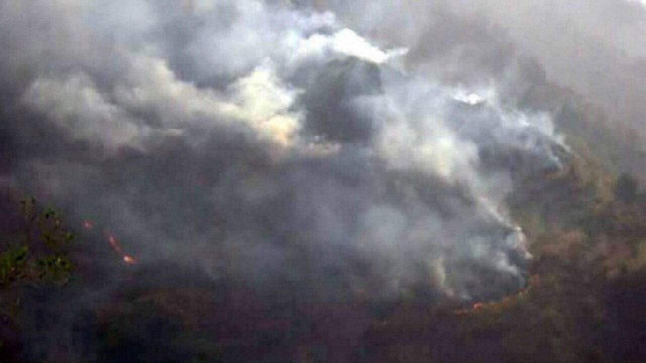 Jammu and Kashmir: Army joins fire fighting operation in Rajauri forest ...