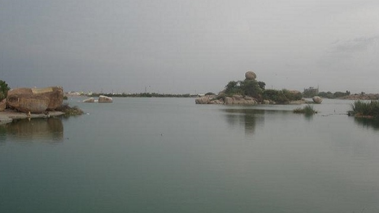 Hyderabad: Nizampet's Pragatinagar Lake turns into sewage cesspool