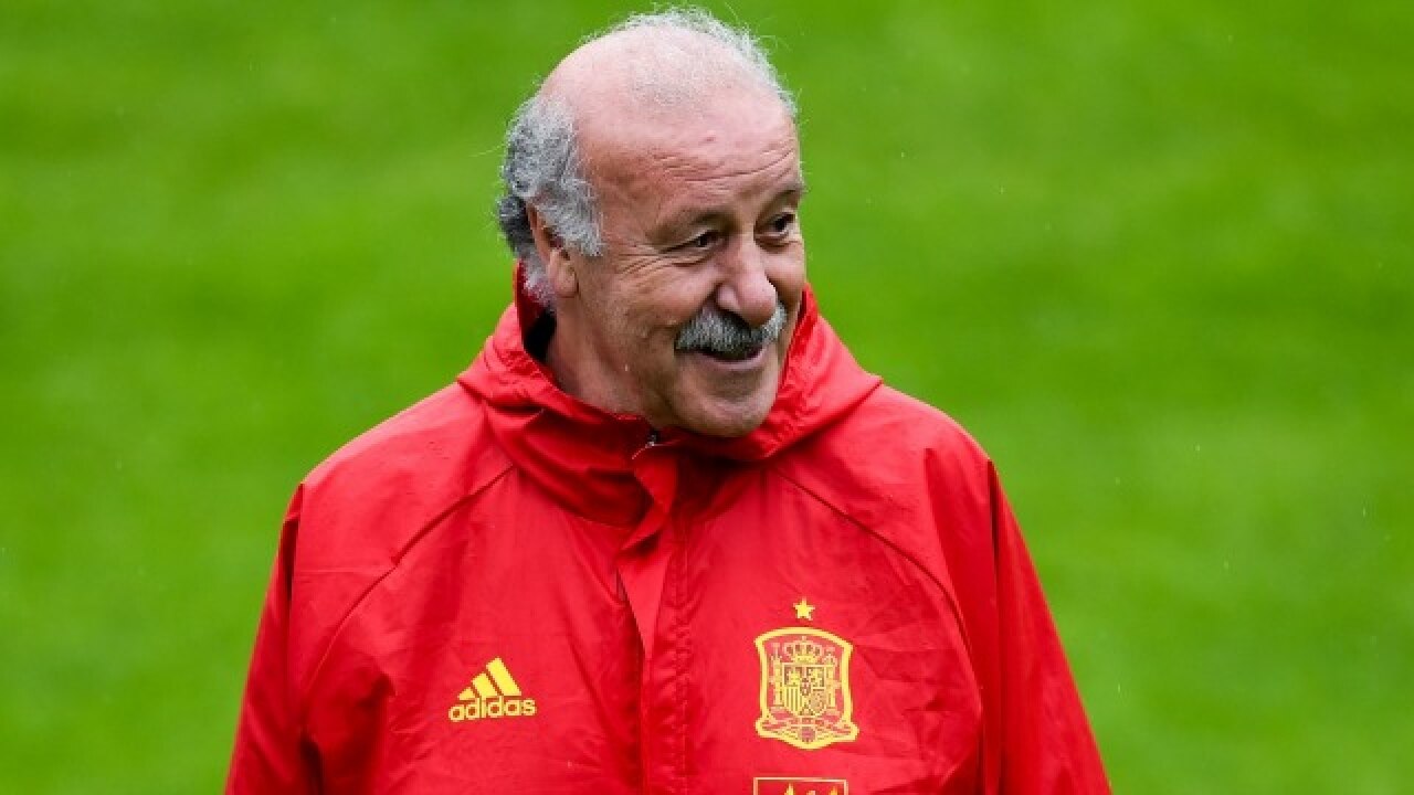 Euro 2016: Coach Del Bosque claims Spain are the favourites