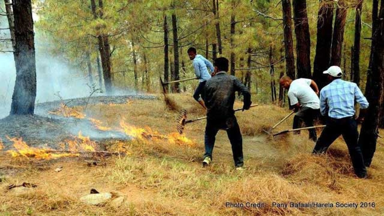 This organisation provides training to fight forest fires in Uttarakhand
