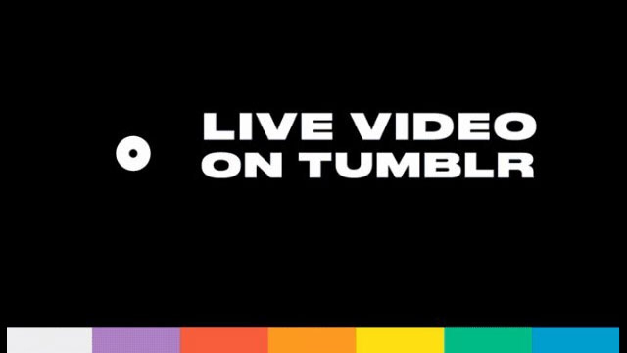 Yahoo's Tumblr becomes the newest service to offer live video