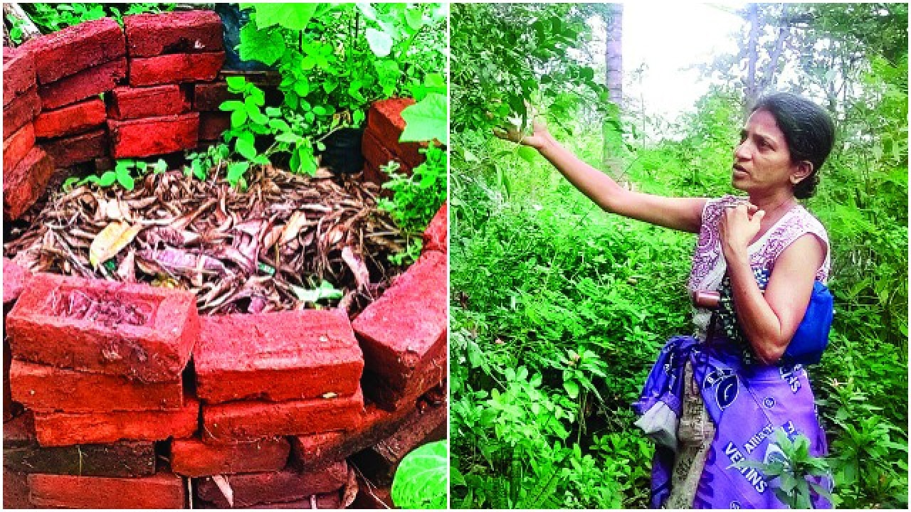 Eco-warrior leads the way in sustainable living