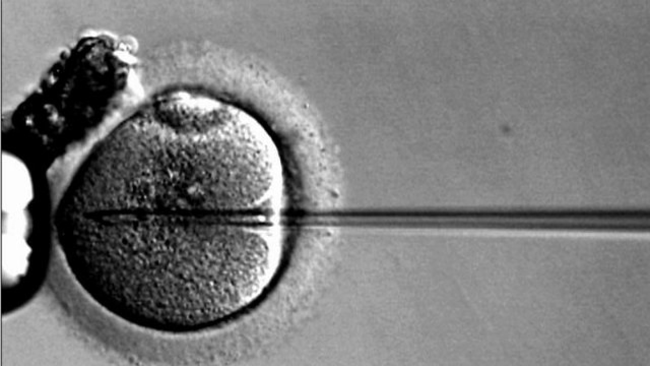 Nearly half of infertile people don't seek medical help: study