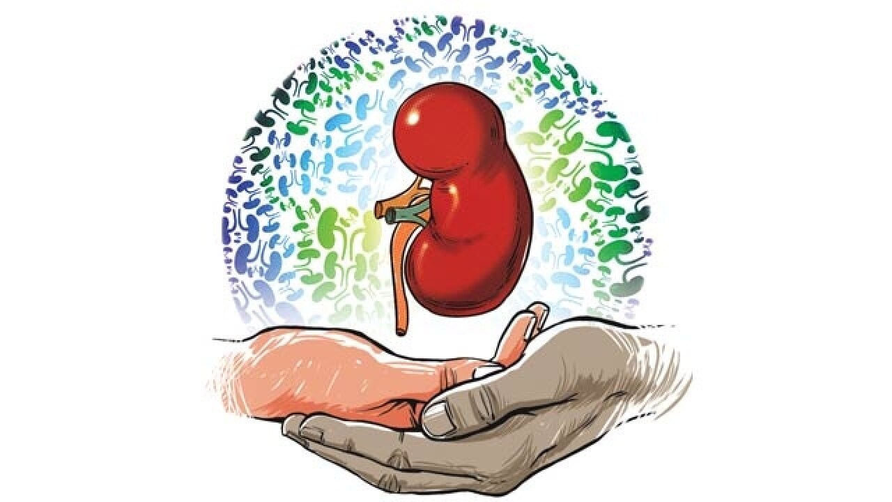 Maharashtra Mulls New Rule To Verify Transplant Documents After Kidney Maharashtra Mulls New Rule To Verify Transplant Documents After Kidney