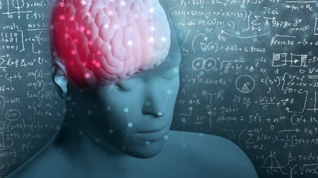 Scientists use neuroimaging to study brains on math