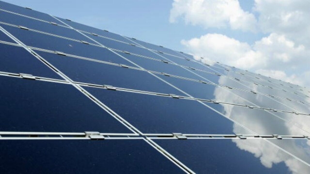 Solar power tree developed to solve world's energy problems