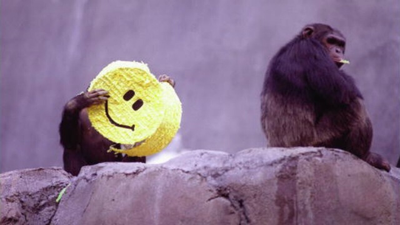 Smiles originated 30 million years ago, study says