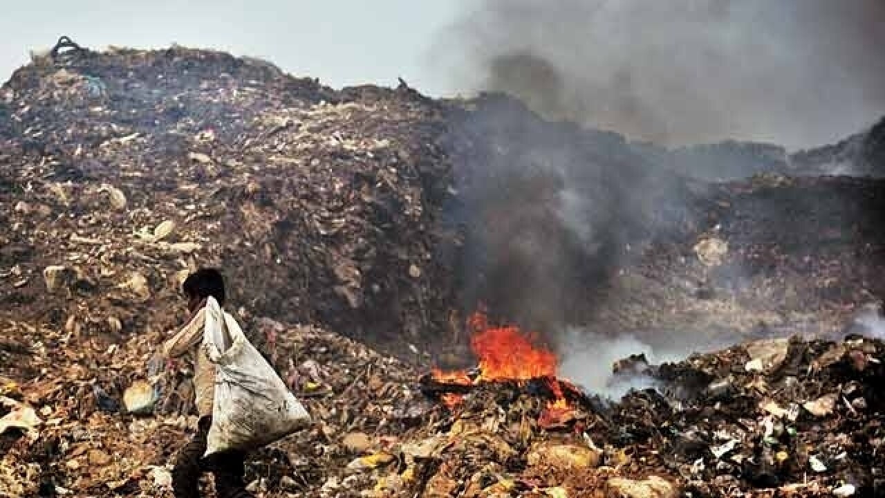 How humans ruined 97% of most species-rich places on Earth