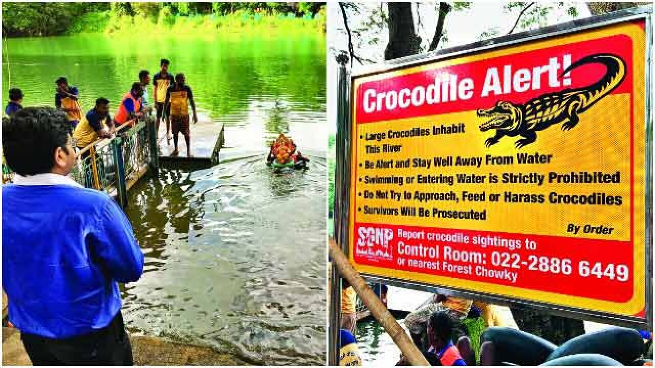 Mumbai: Ganpati devotees throng crocodile-infested SGNP lake despite ...