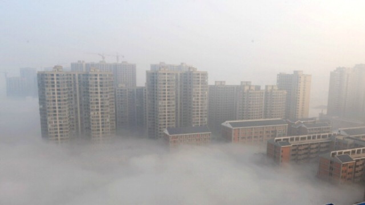 Scientists discover toxic air pollution particles in human brain