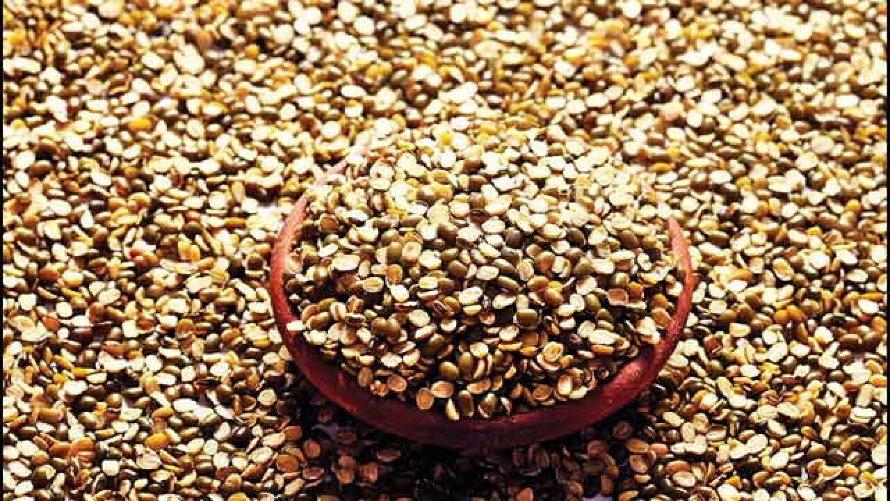 Green Gram Price Slump Brings In A Tale Of Agony And Ecstasy