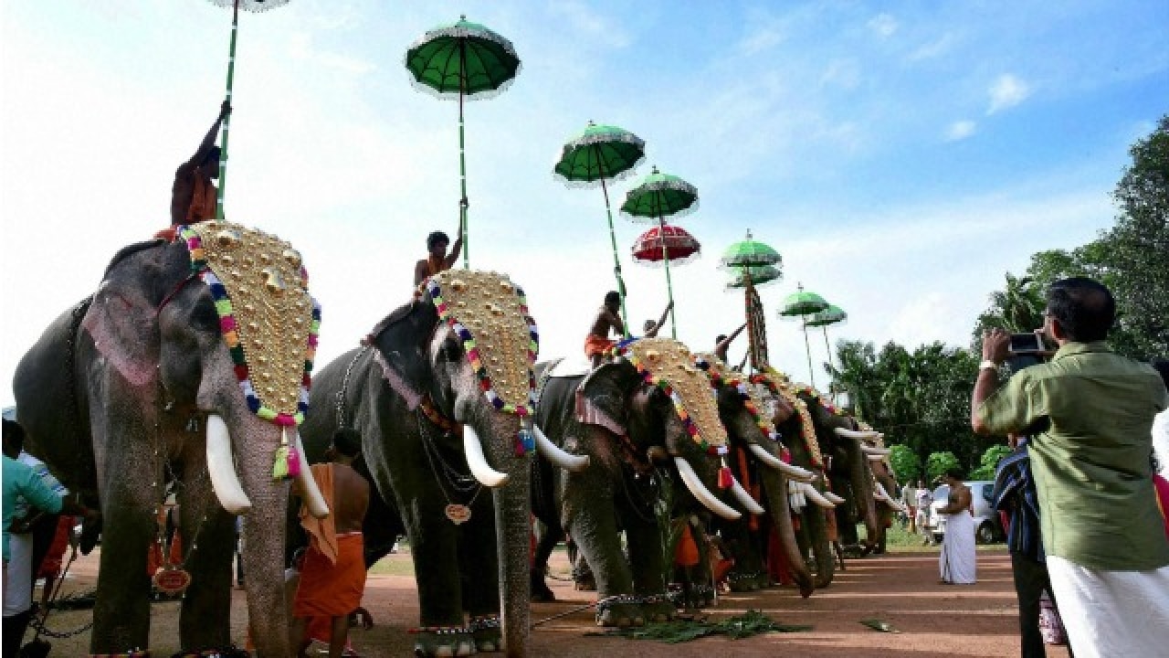 In Pictures | Onam 2016: From indigenous regatta to a soiree of colours ...