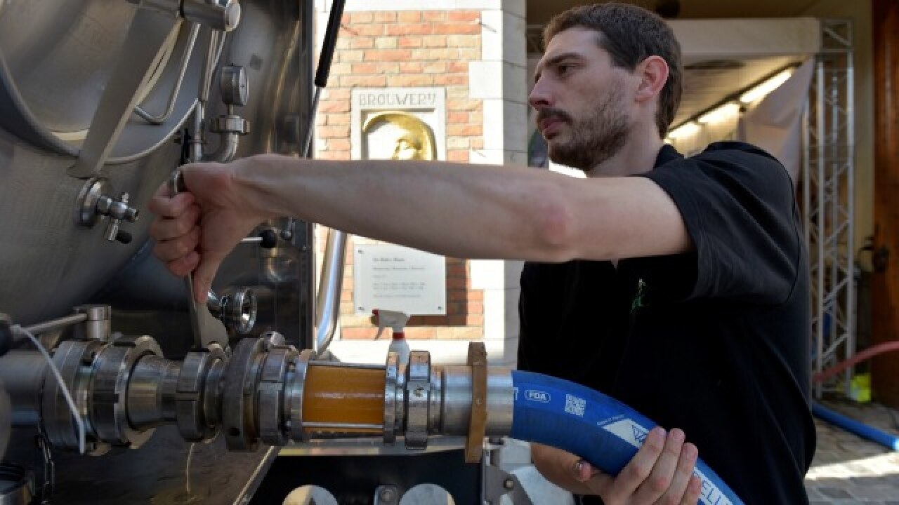 Malt of dreams: Bruges opens its first beer pipeline