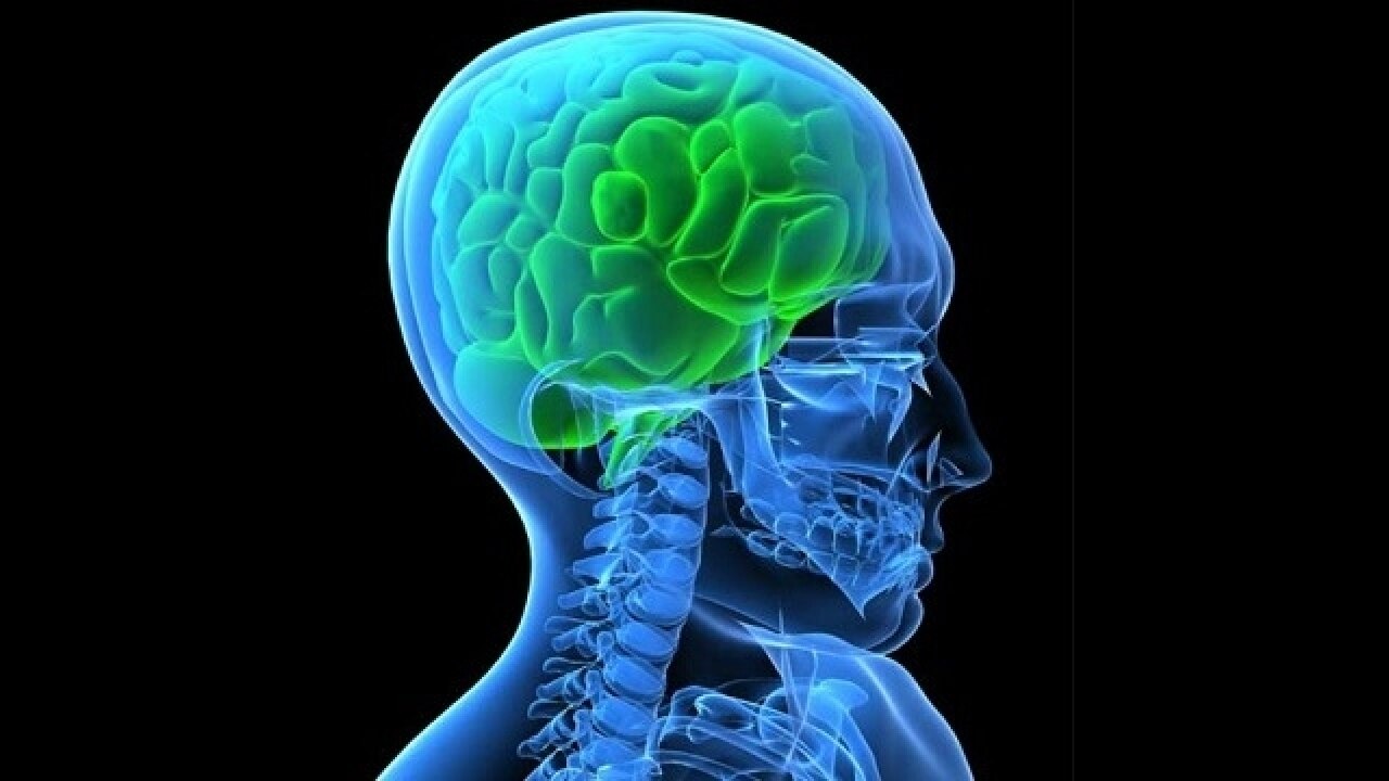 Study identifies four basic personality types in humans