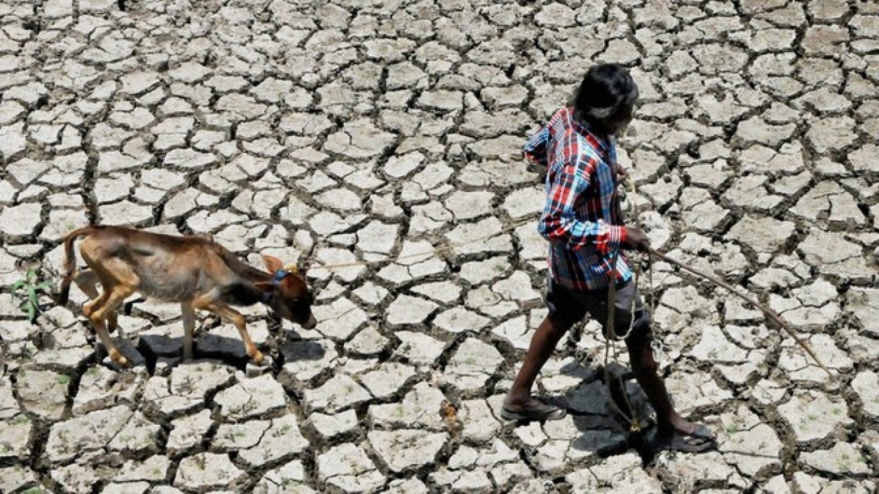 Severe drought looming over Kerala