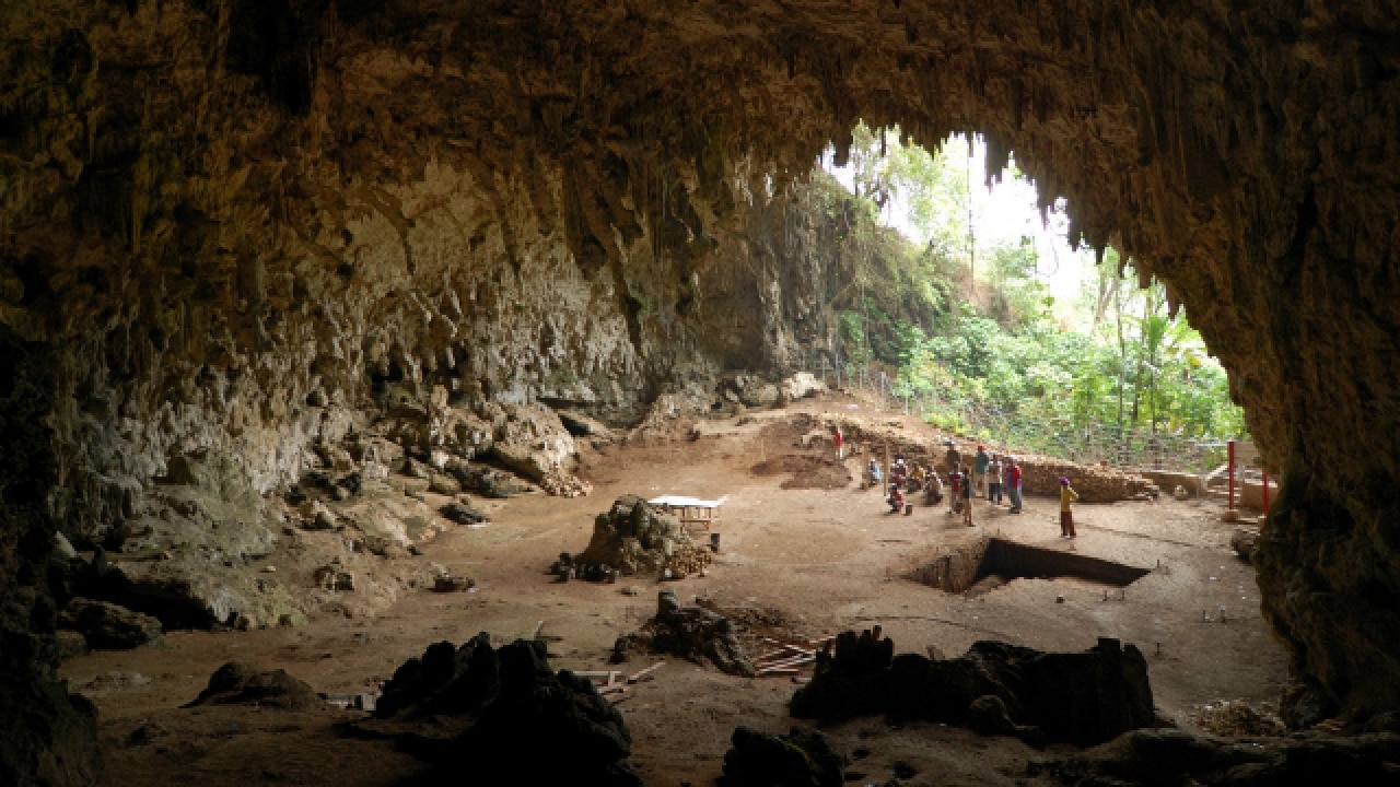 A 49,000 year old cave dwelling in Australia has been discoverd