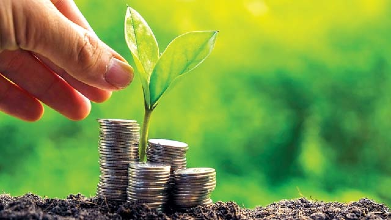 Frugality will not make you rich