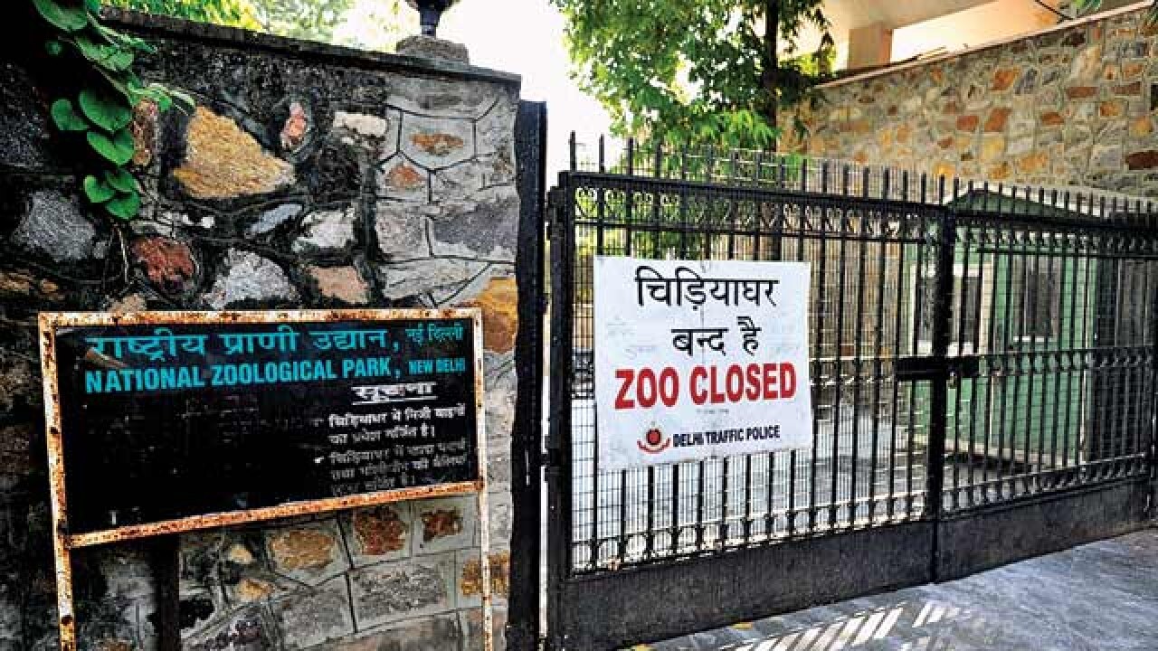 Bird Flu: Delhi Zoo may remain shut this year Bird Flu: Delhi Zoo may remain shut this year