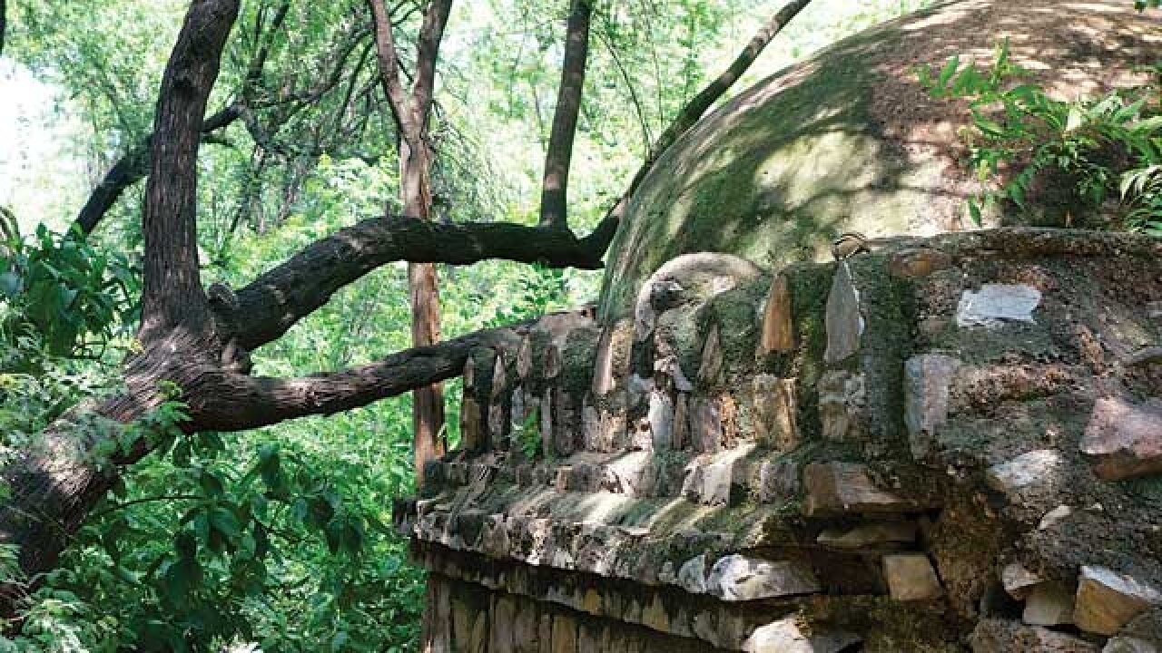 Residents strive to save iconic Mehrauli park