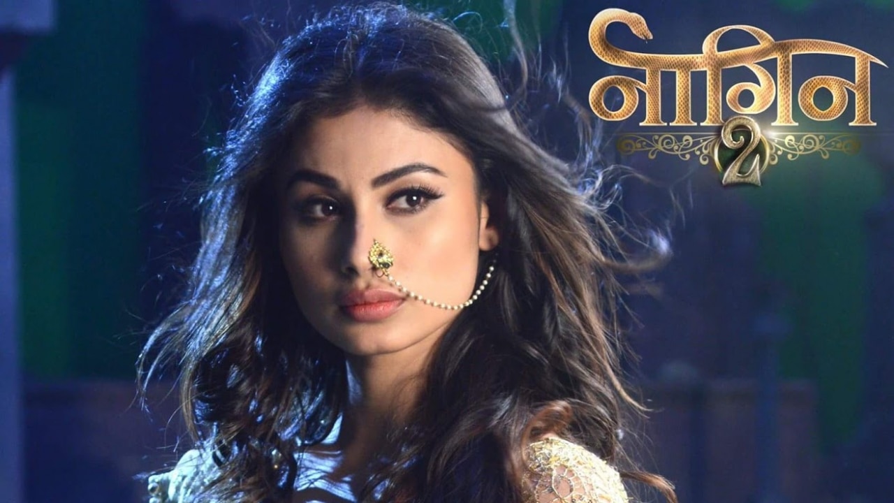 Naagin 2: This TV actor is making a re-entry on the show!