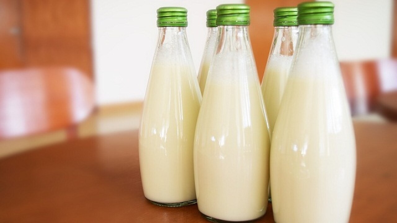 LED display lights may help improve taste of milk, claims study