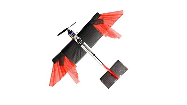Watch: Scientists develop bird-like drone with feathers
