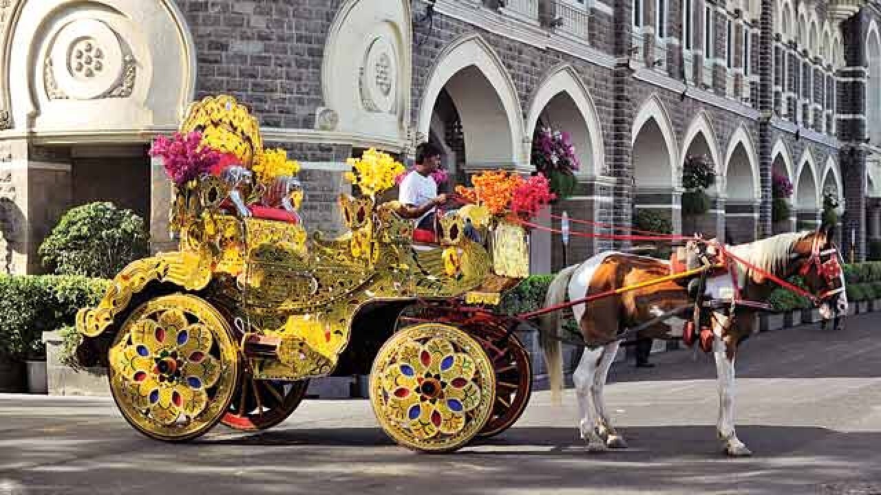 Three horses in a bad condition used in Victoria Carriages seized by ...