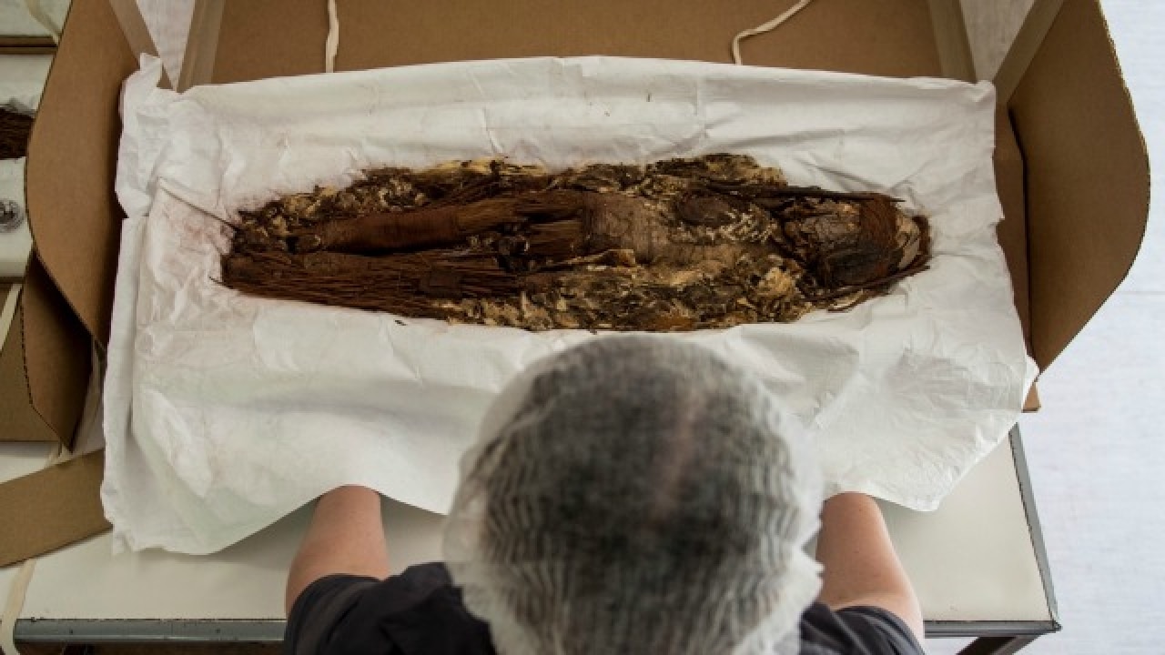 Scans unveil secrets of world's oldest mummies