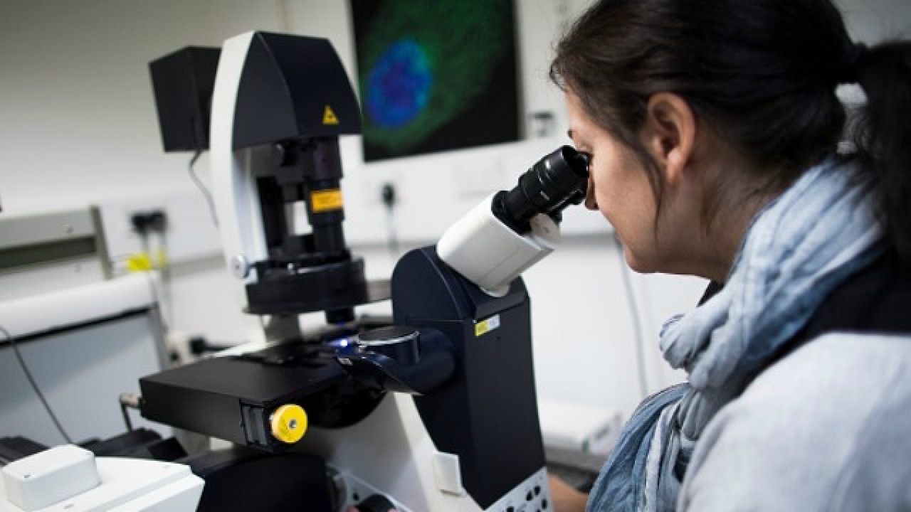 English language hindering scientific advances: study