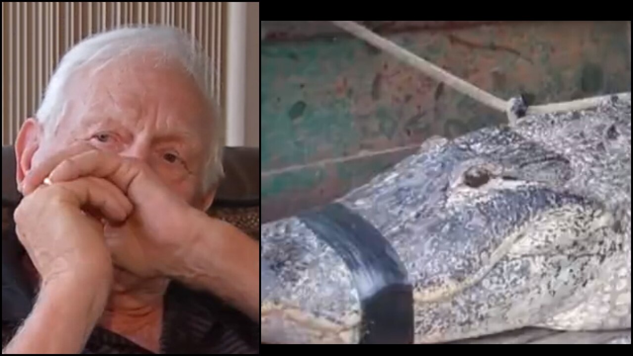 Alligator catches a golfer, you won't believe what happens next