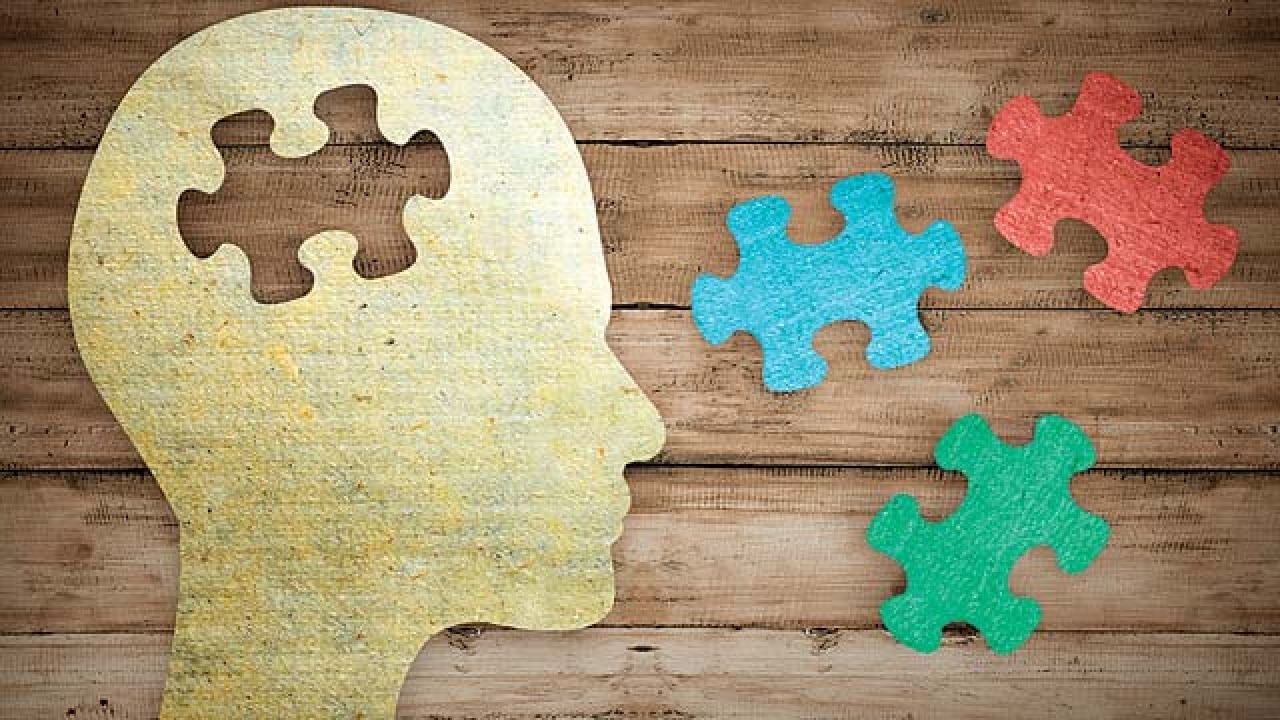 Know what intelligence type are you, and be proud of it