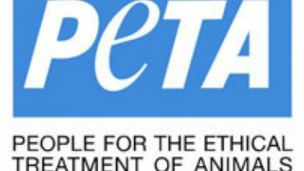 PETA writes to PM Modi, asks him to ban meat from government functions
