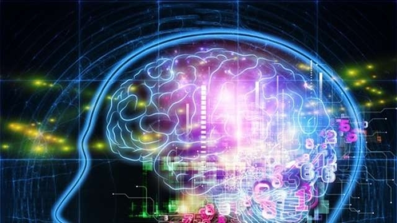 Here`s how protein impacts intellectual disability