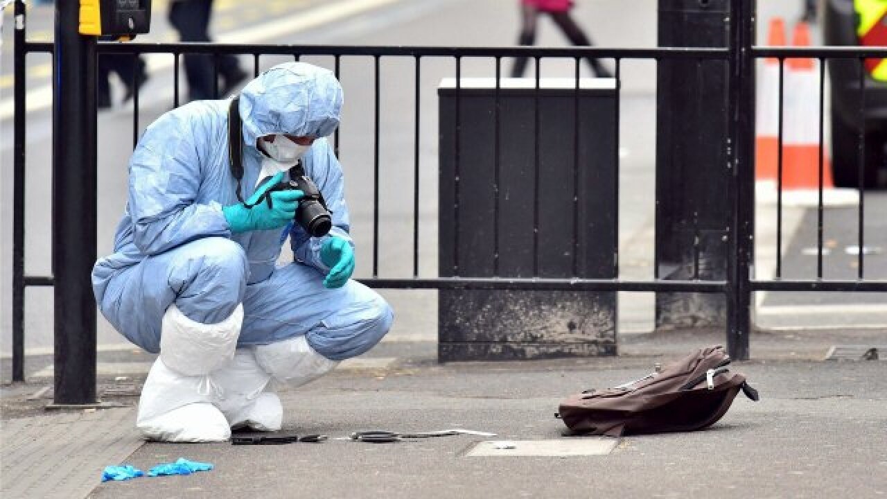 London: Police arrest man with knives in Westminster in anti-terrorism ...