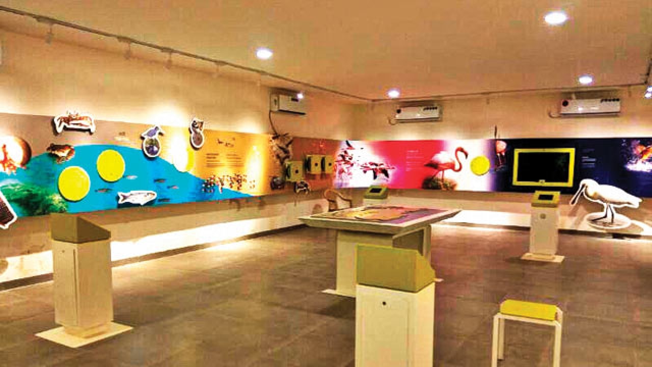 State's first coastal, marine biodiversity centre set to open