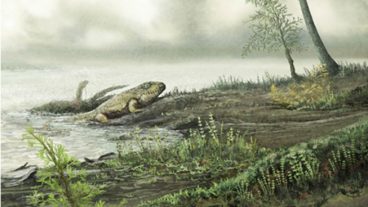 Antibiotic-resistant bacteria evolved from pathogen that existed before ...