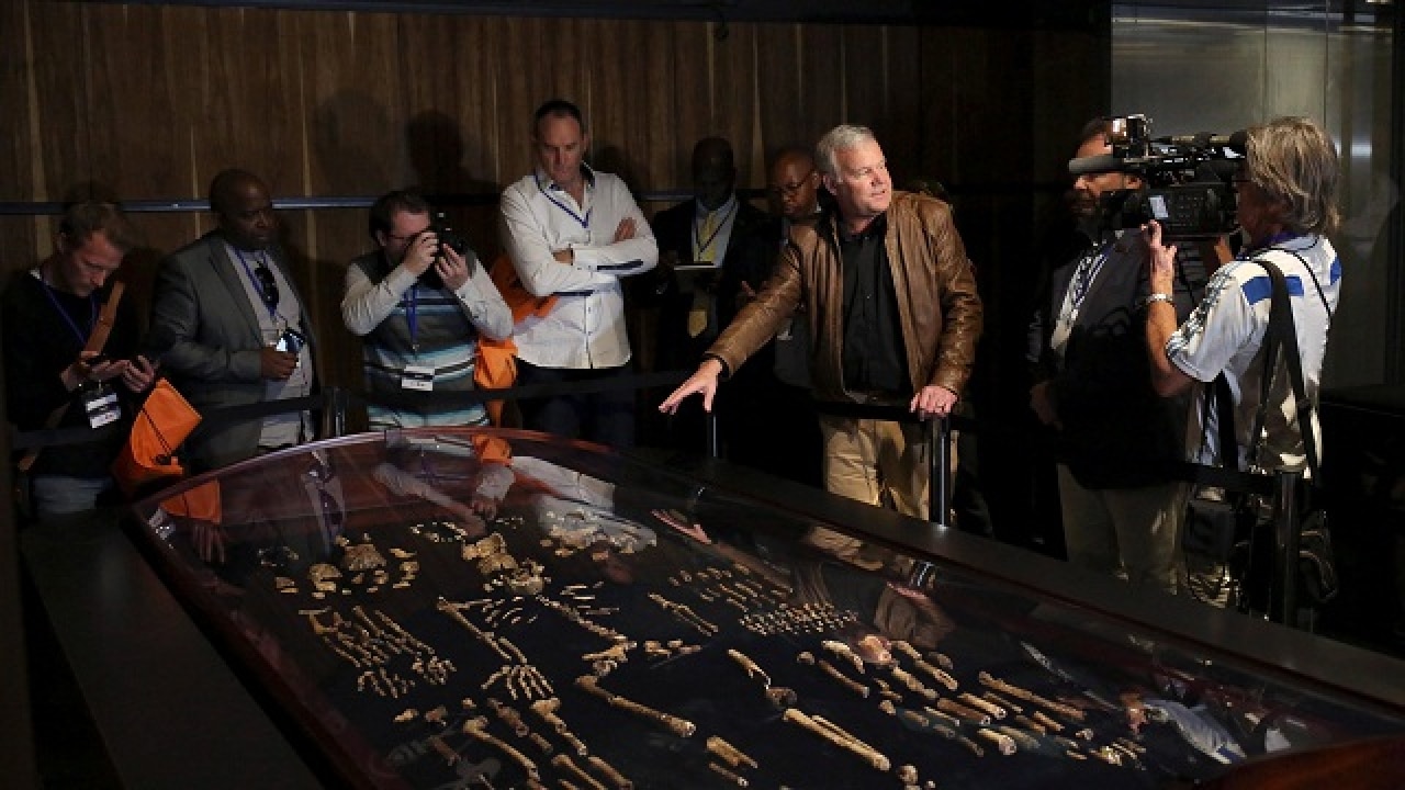 Biggest exhibit of human-like fossils goes on display in South Africa
