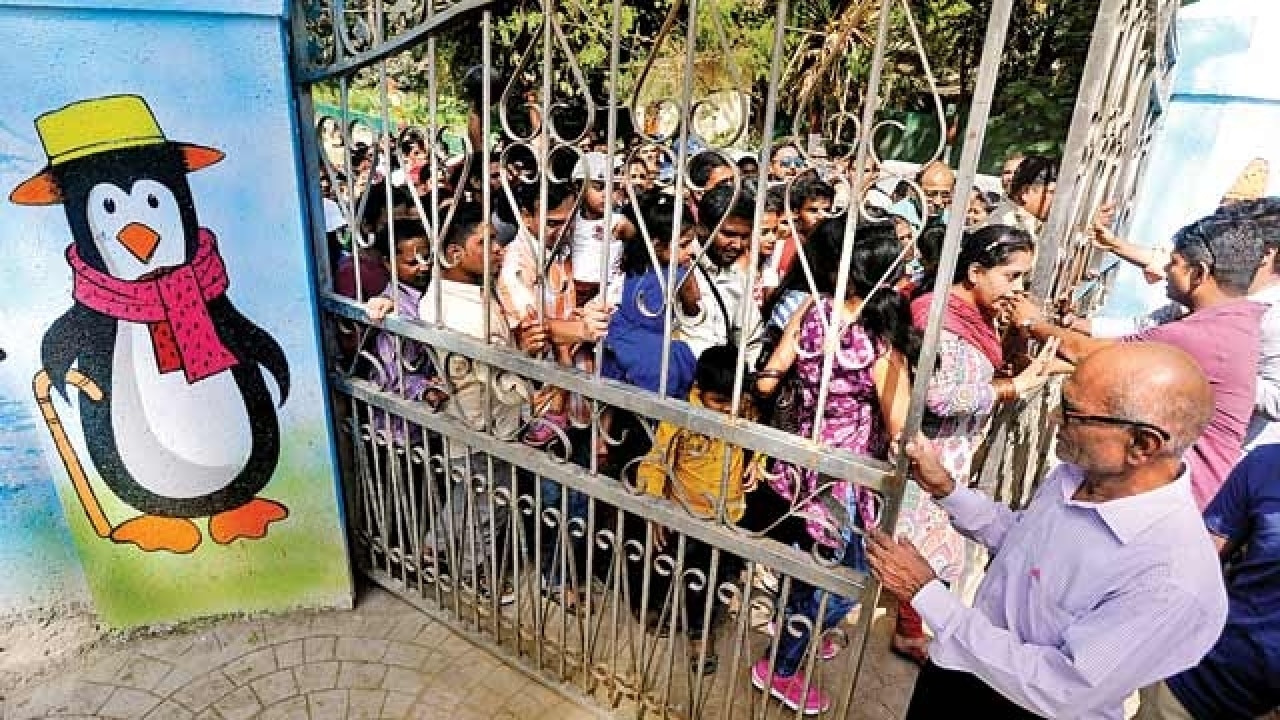 Now, adults pay more to visit Byculla zoo