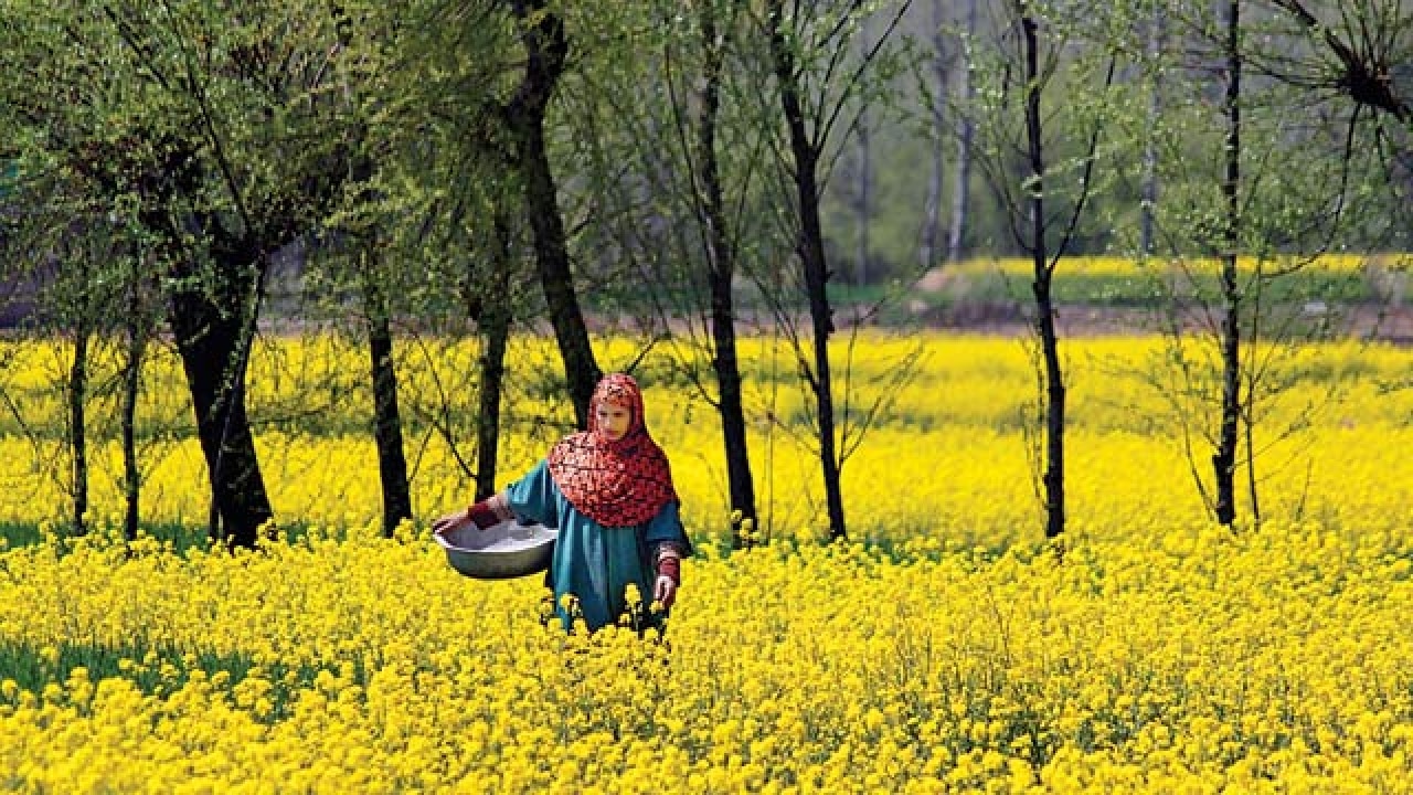 Kashmiriyat stands for a life of care, warmth and peace